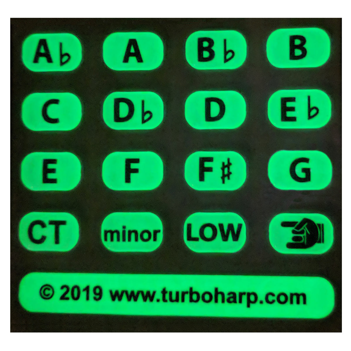 Harmonica Key Label Set of 16 - Deluxe Glow-in-the-Dark Key Labels ...